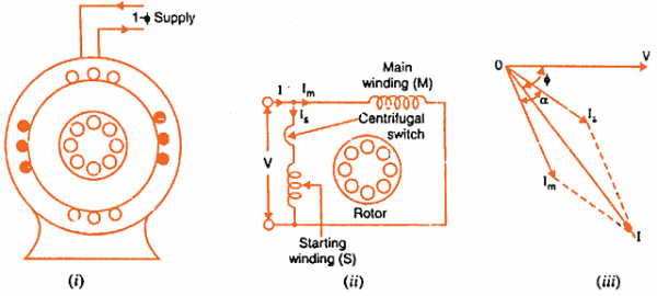 Split Phase Induction Motor - Operation and Characteristics