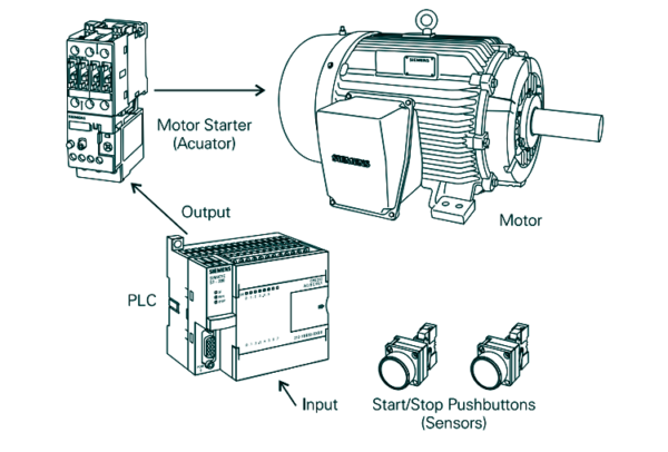 The Basics Of Programmable Logic Controller (PLC) That You Never Learned